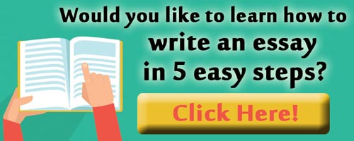How To Write An Essay In Five Easy Steps Xbshop co uk